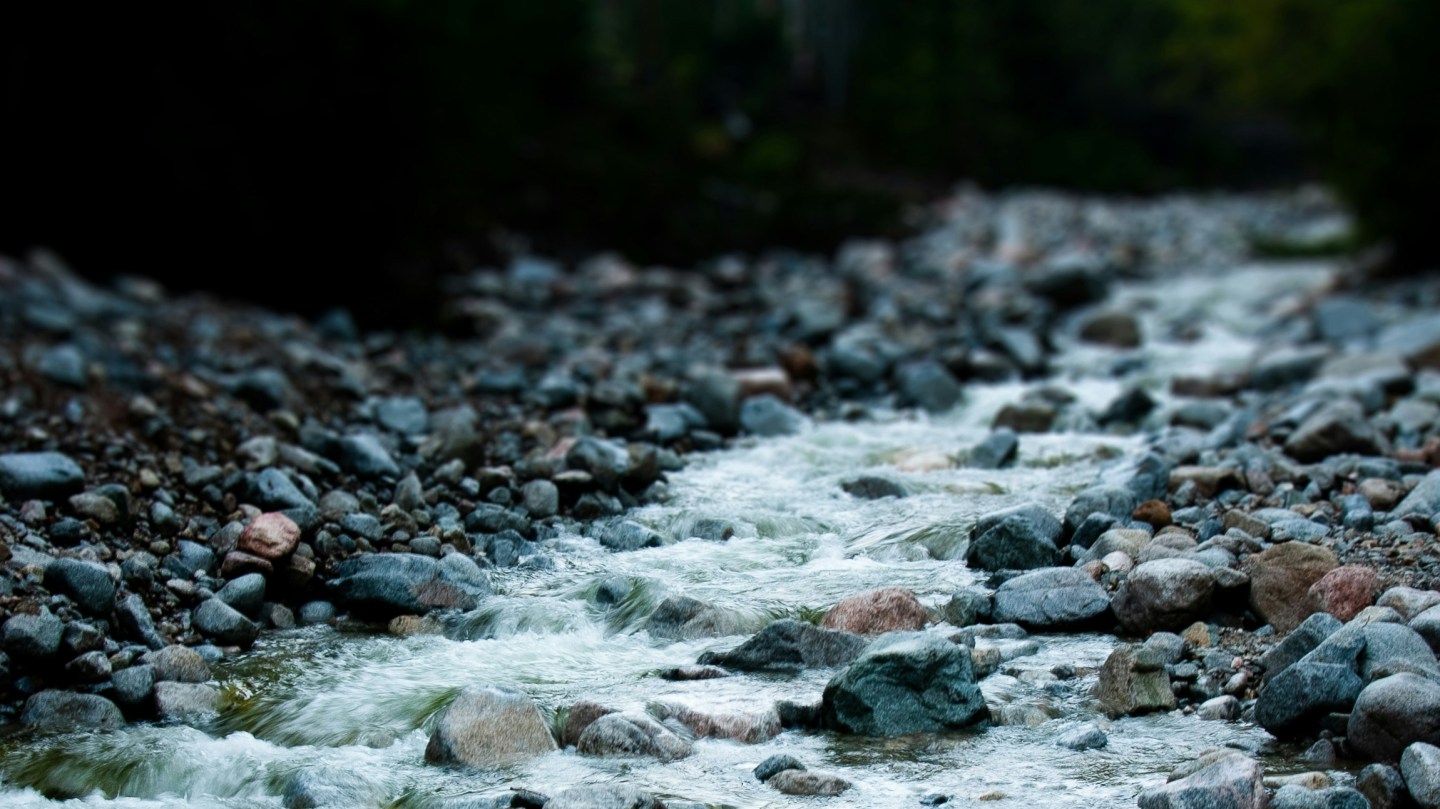 Le bout de paille, la braise et le haricot — Contes de fée méconnus ...